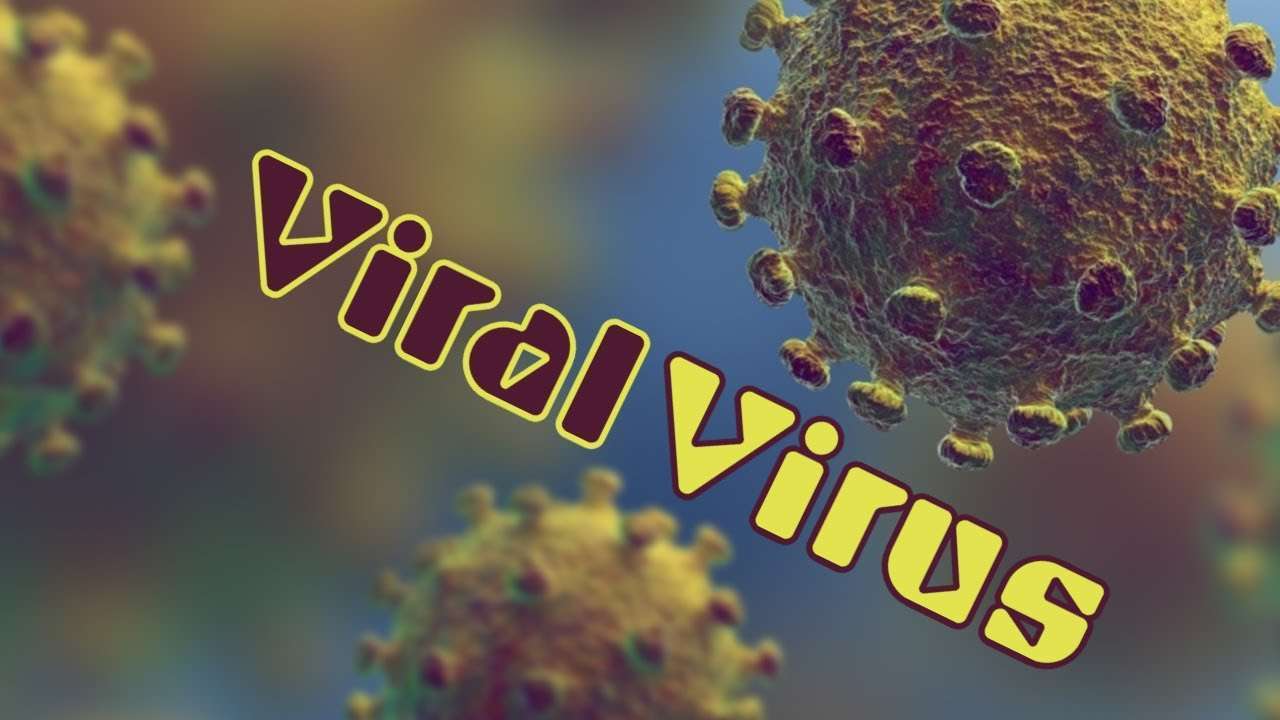 Fireside Friday: Viral Virus - Westbank Bible Chapel